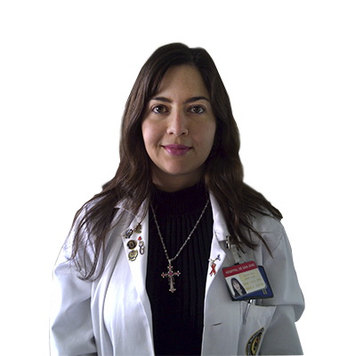 Nuestro Equipo - CODEINEP